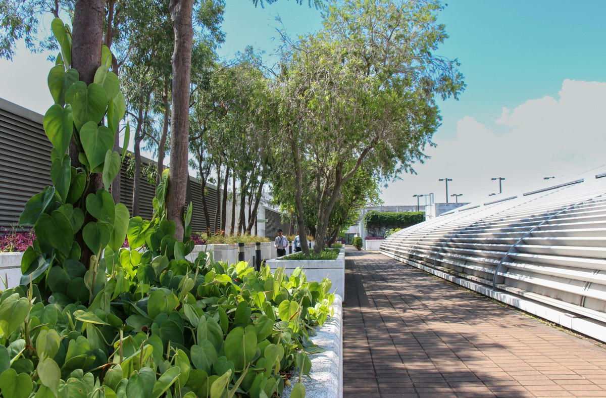 SBTi approves Hactl emissions reduction targets - AIR CARGO WEEK