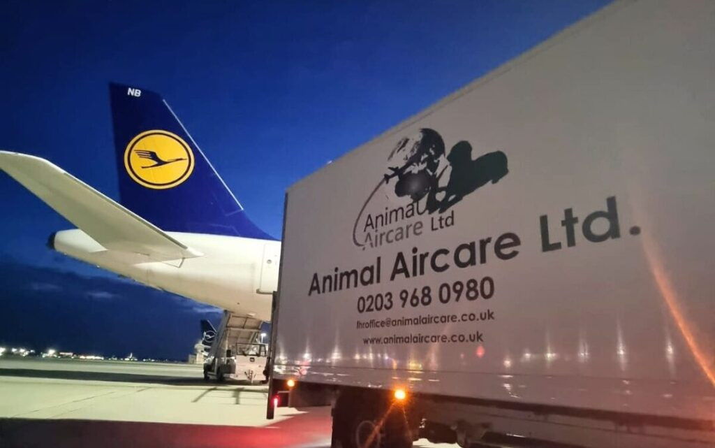 Flying high in the world of animal transportation - AIR CARGO WEEK